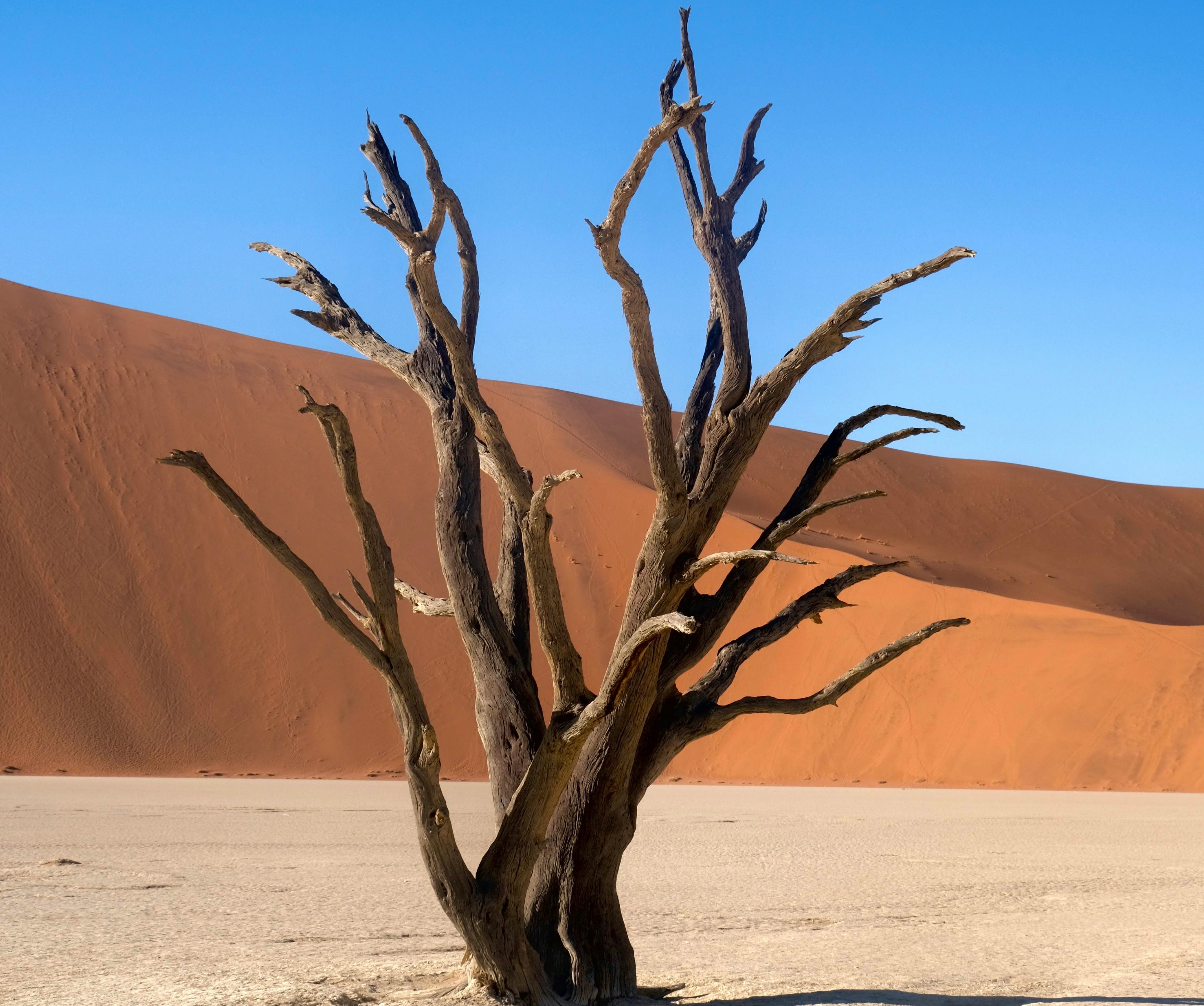 ADB Expands Climate Funding With Historic US And Japan Support: What It ...